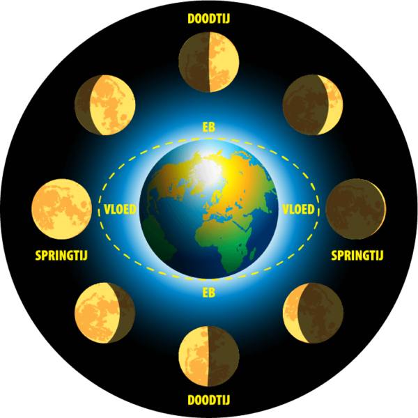 Getijden informatie Texel | Over eb en vloed | Getijden Texel